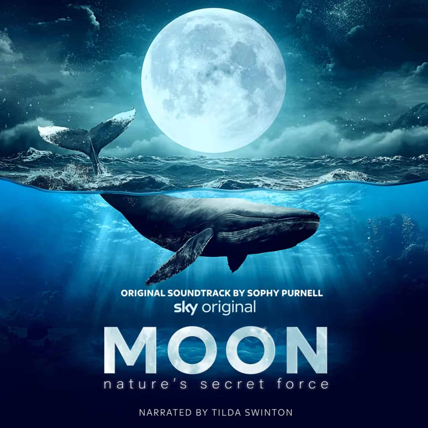Sophy Purnell | MOON: NATURE'S SECRET FORCE